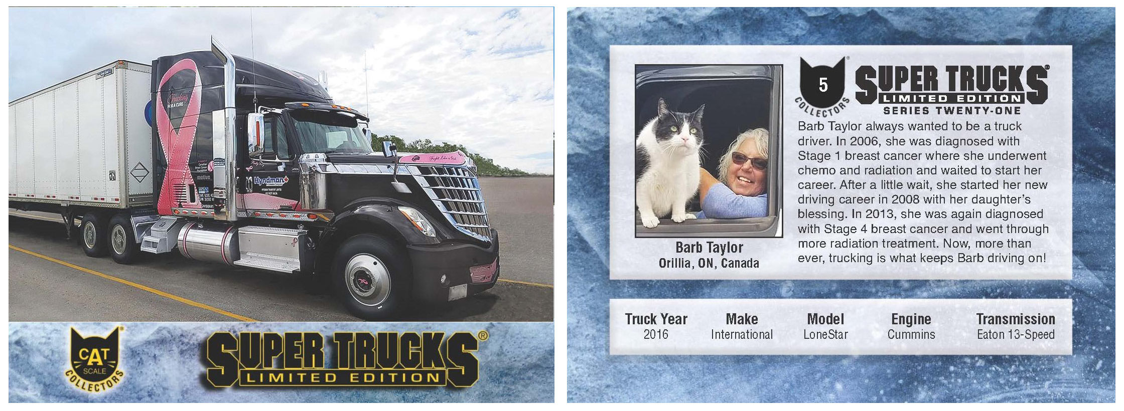 Series Twenty One | CAT Scale